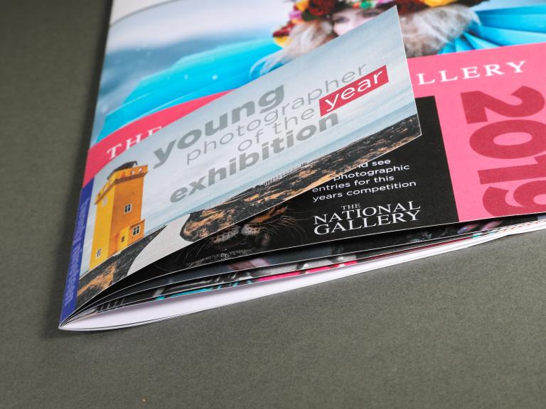 Duplo International | A Year in Review: Brochure Design Trends for 2023